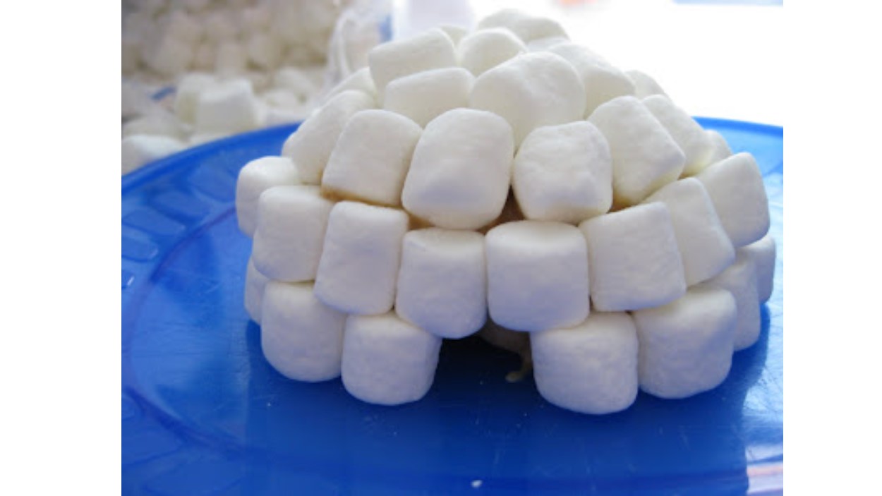 Kids STEM Activity Build a Marshmallow Igloo | Coffey County Library